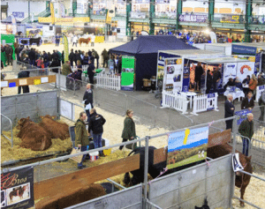 English Winter Fair - 15th & 16th November 2025 at Staffordshire County ...