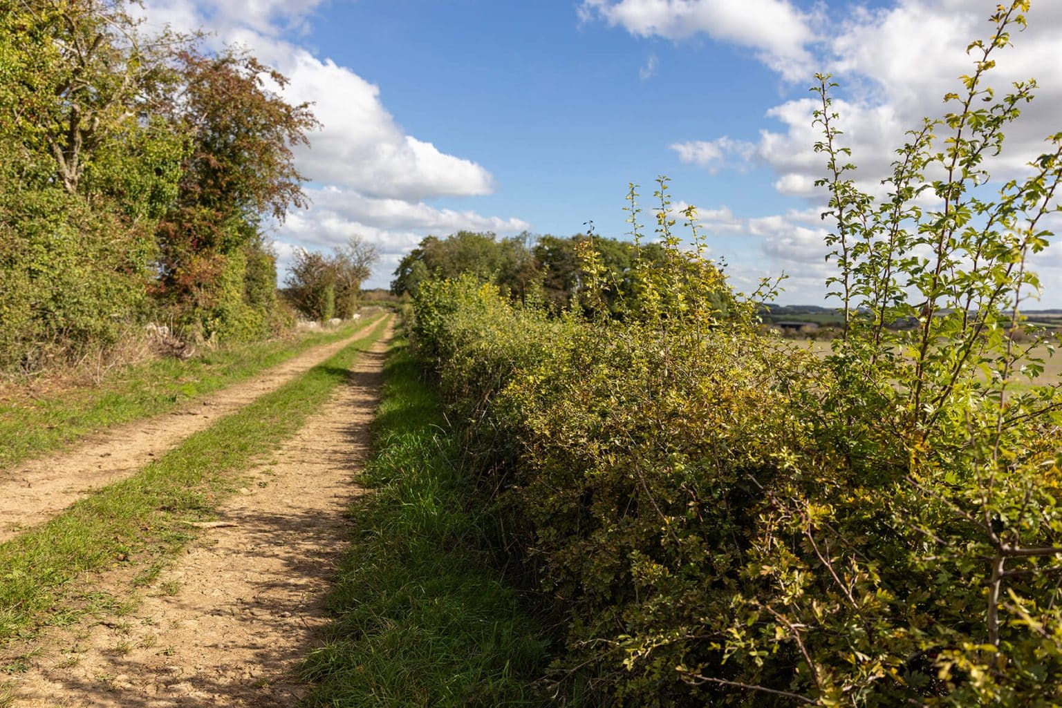 British Food Fortnight 2025 seeks to strengthen deep rooted connection ...